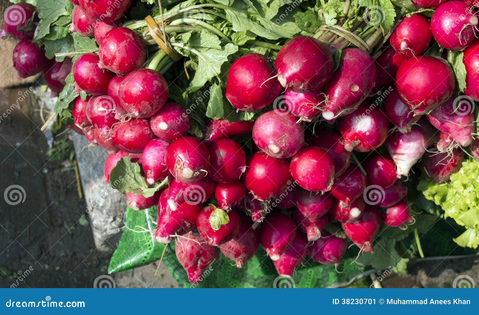 Fresh Radish Onion Vegetable Stock Image - Image of harvest, leaf: 38230701