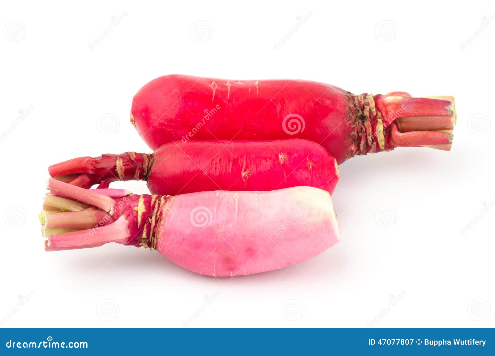 Fresh radish stock image. Image of healthy, fresh, root - 47077807