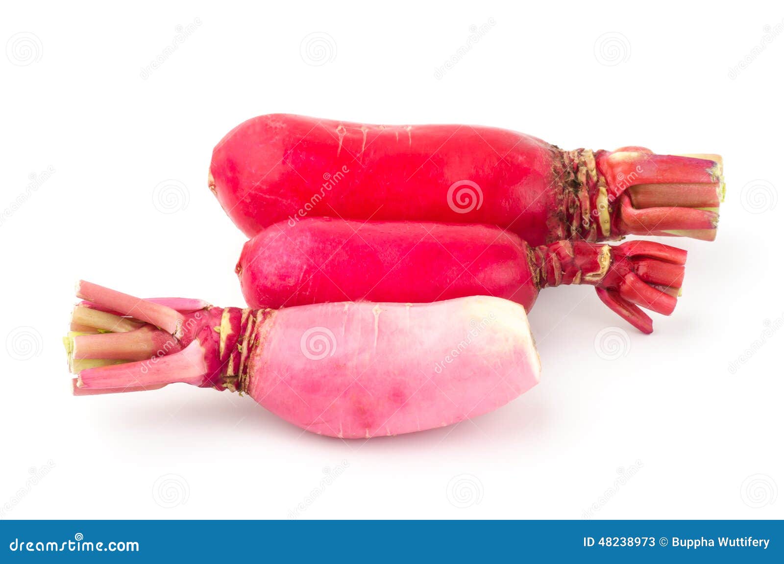 Fresh radish stock image. Image of food, ingredient, healthy - 48238973