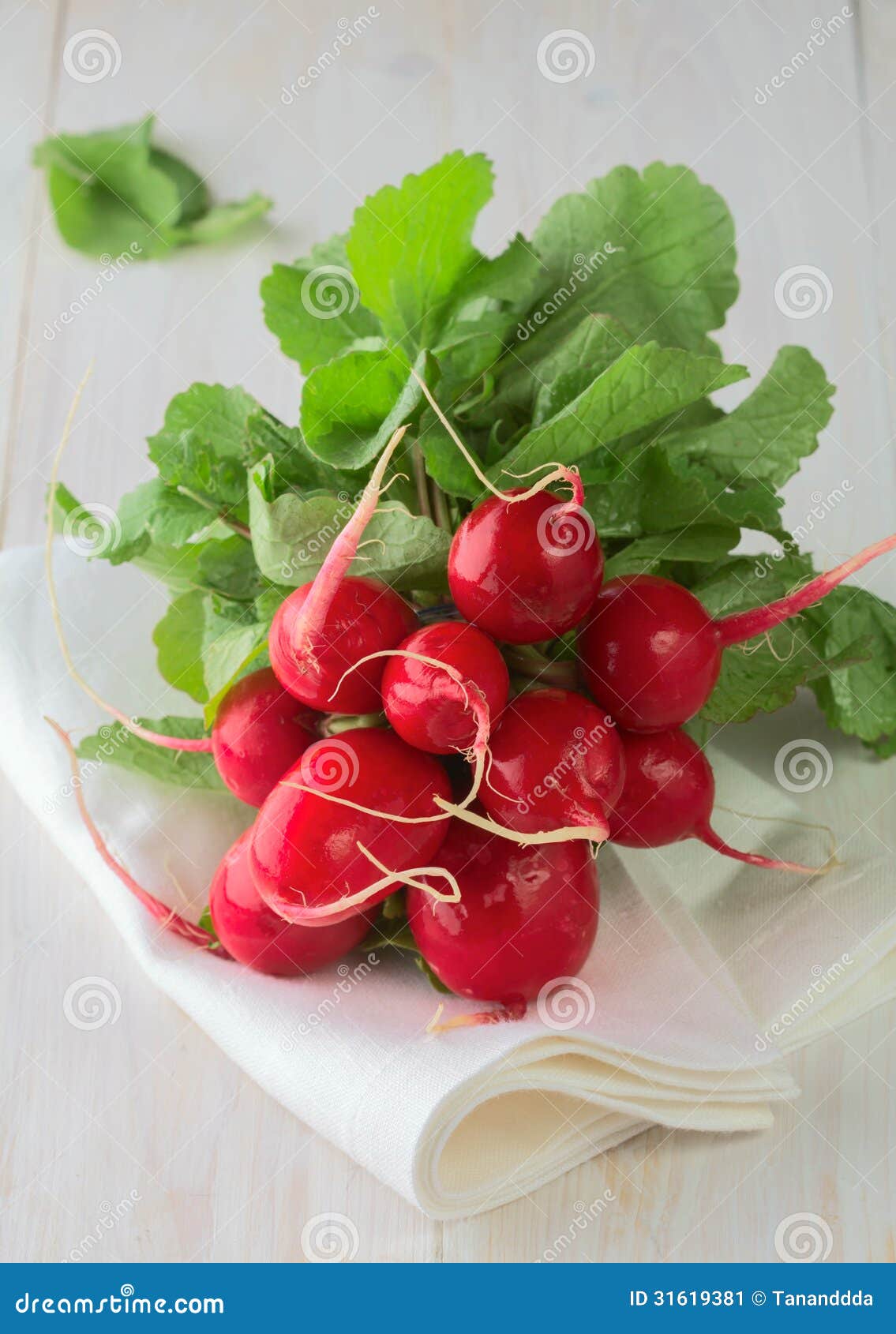 Fresh radish stock image. Image of organic, diet, summer - 31619381