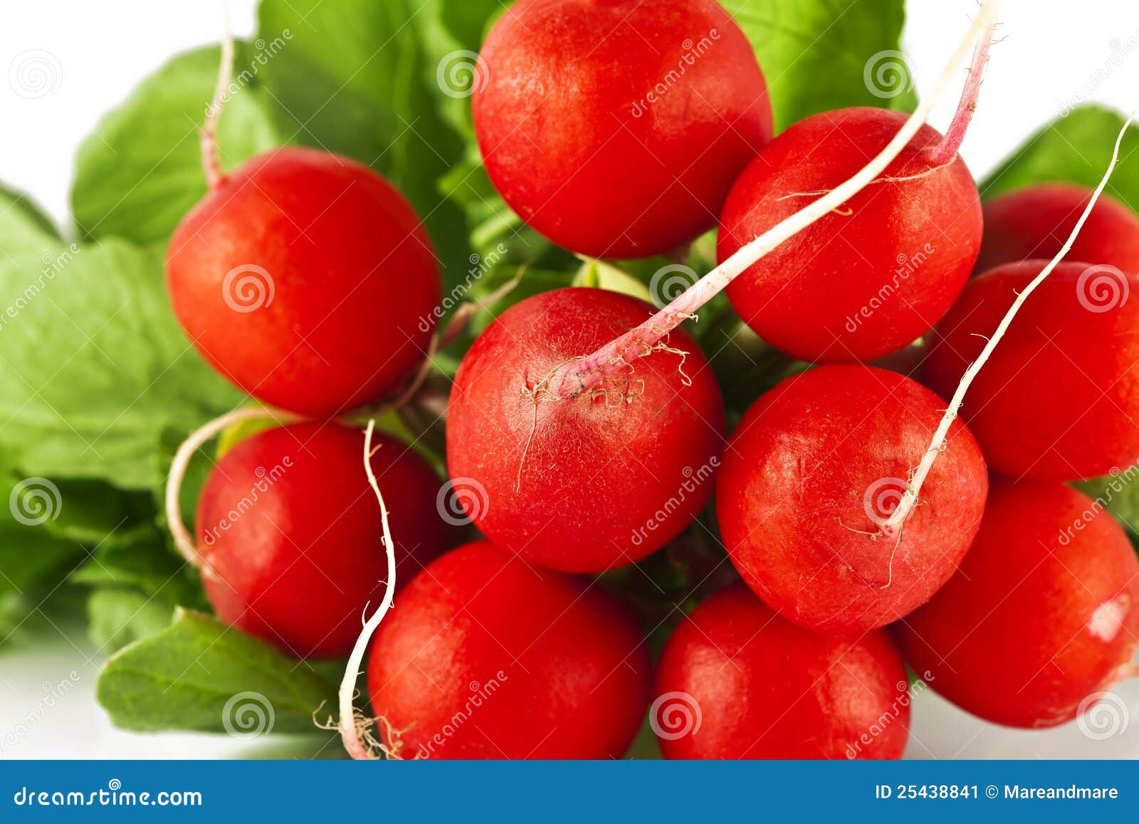 Fresh radishes stock image. Image of groceries, idylic - 25438841