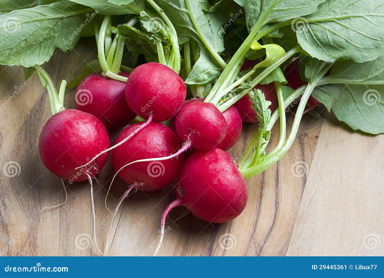 Fresh Radishes stock image. Image of wooden, good, nutrition - 29445361
