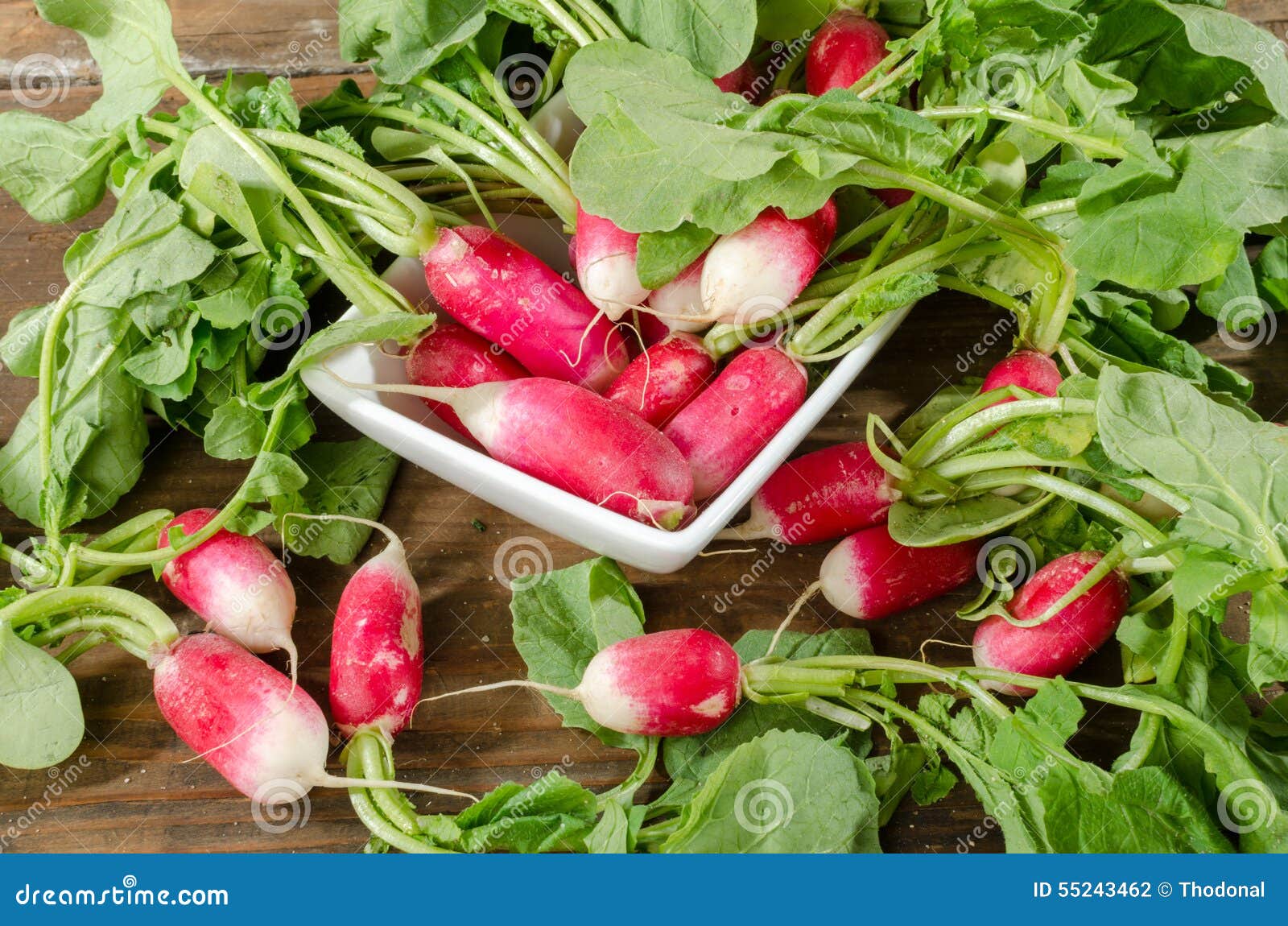 Fresh radishes stock photo. Image of leaf, health, natural - 55243462