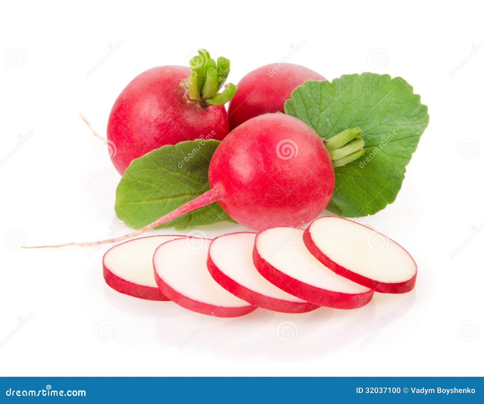 Fresh Radishes with Green Leaves Stock Photo - Image of white ...