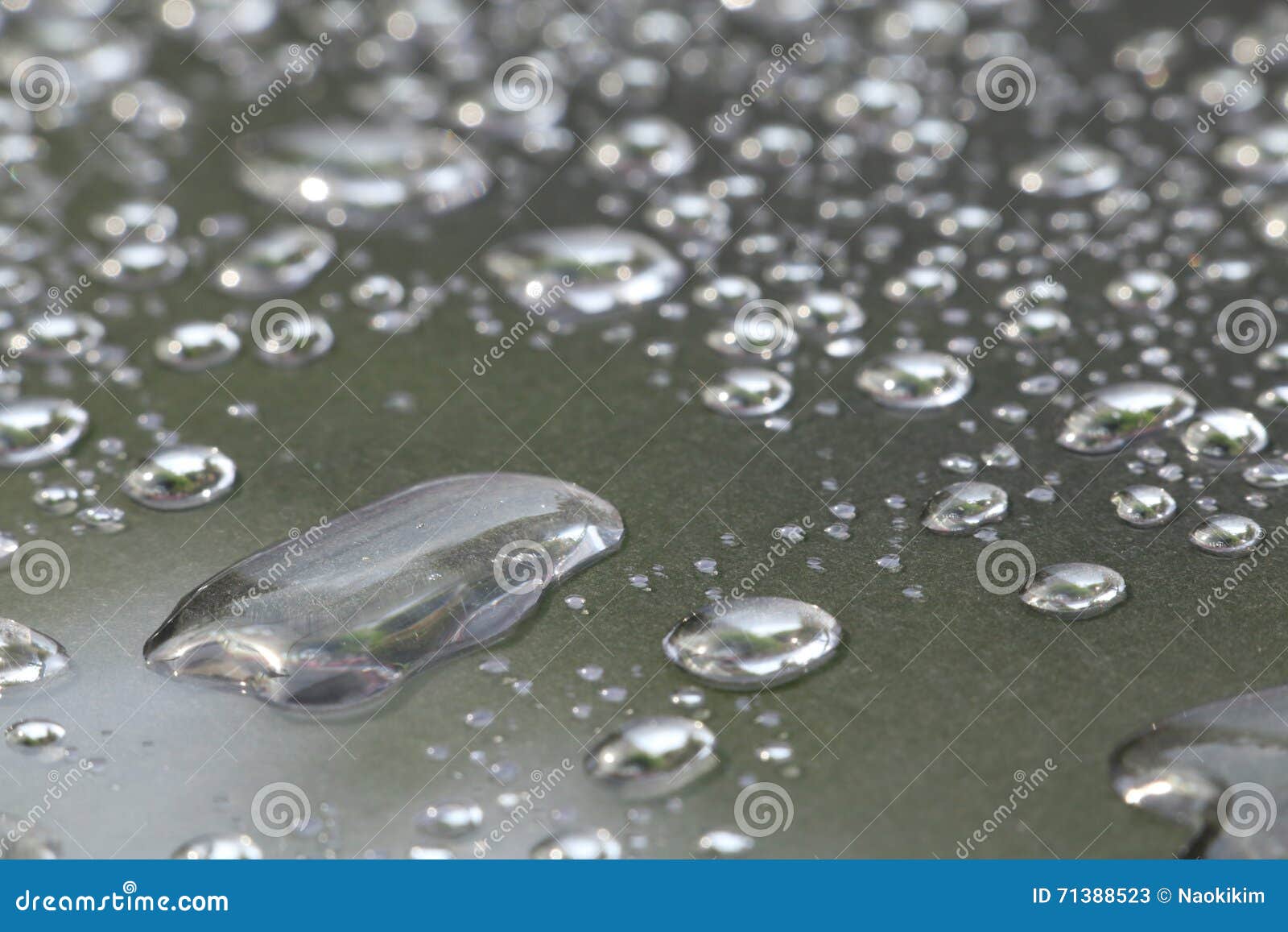 Fresh Rain Drop Abstract in Black Stock Image - Image of macro ...