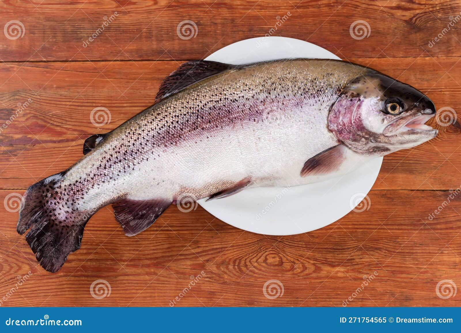 Fresh Rainbow Trout on Big White Dish on Rustic Table Stock Image ...