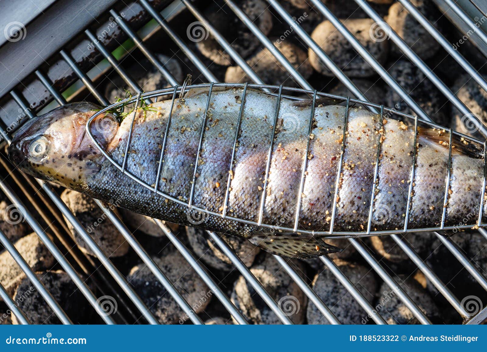A rainbow trout stock photo. Image of fresh, grill, barbeque - 188523322