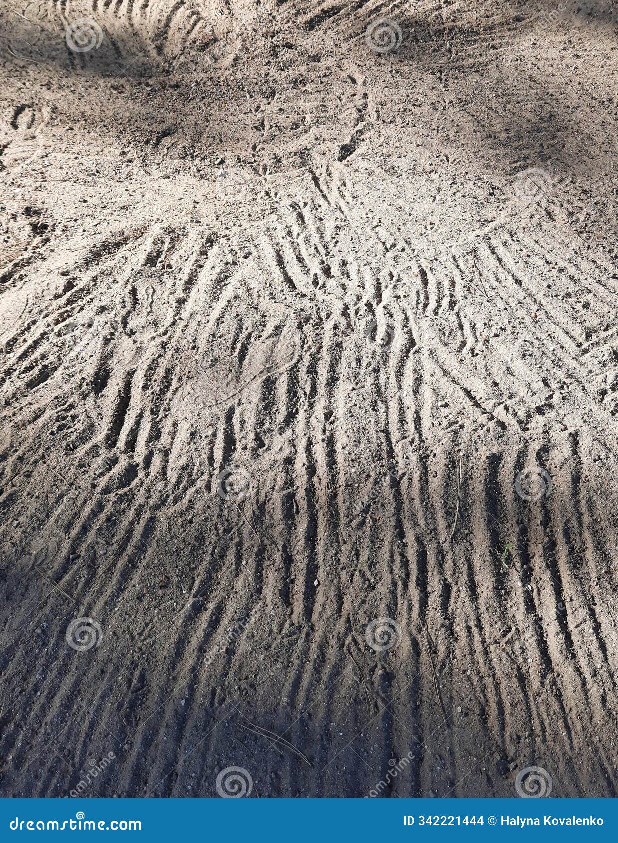 Fresh Rake Marks on the Sand Stock Photo - Image of rake, texture ...