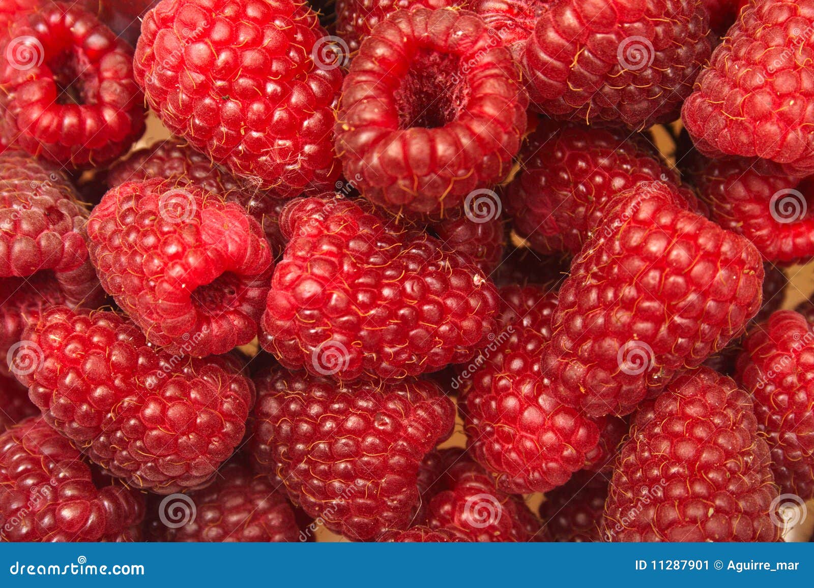 Fresh Raspberries stock image. Image of plenty, fresh - 11287901