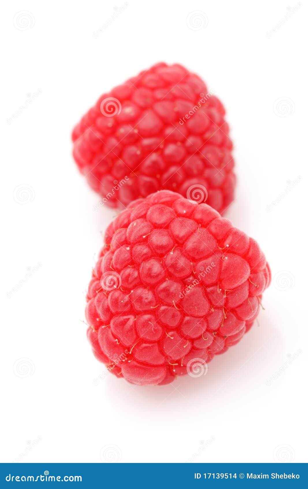 Fresh raspberries stock photo. Image of delicious, healthy - 17139514