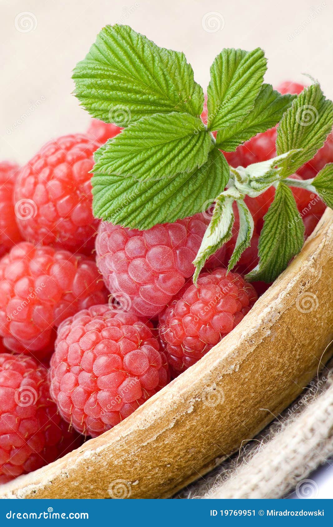 Fresh raspberries stock image. Image of horizontal, fruity - 19769951