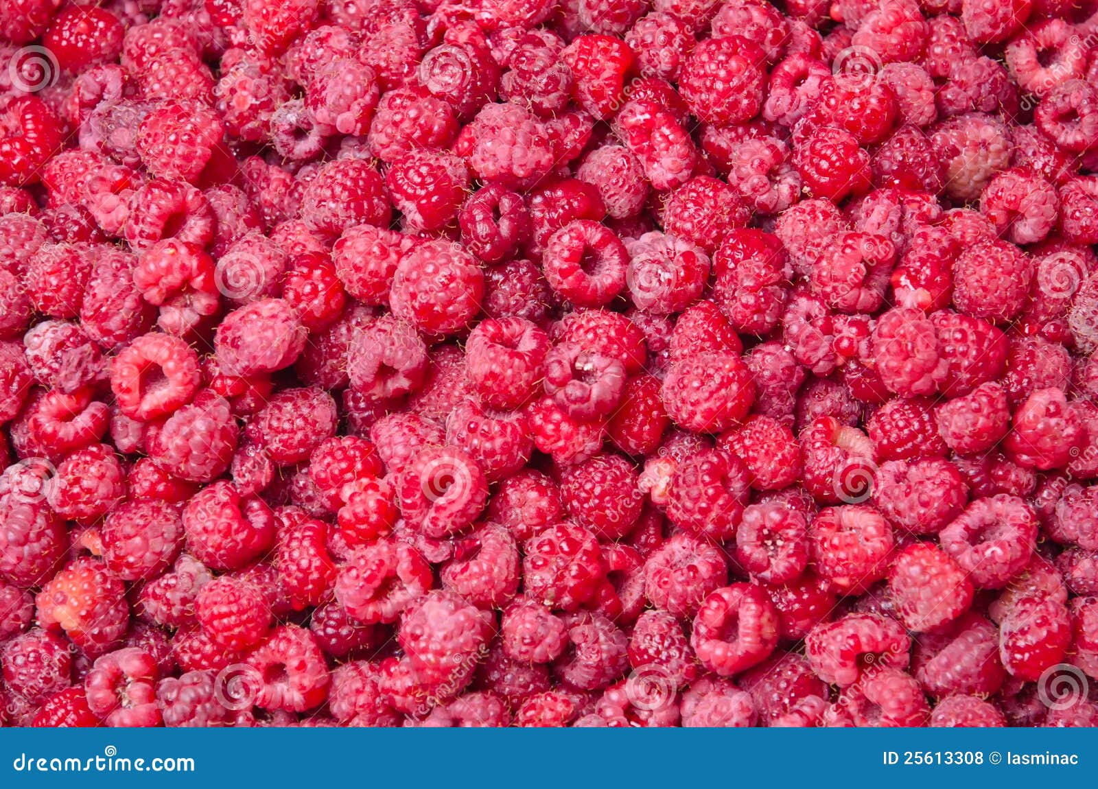Fresh raspberries stock photo. Image of fresh, antioxidants - 25613308