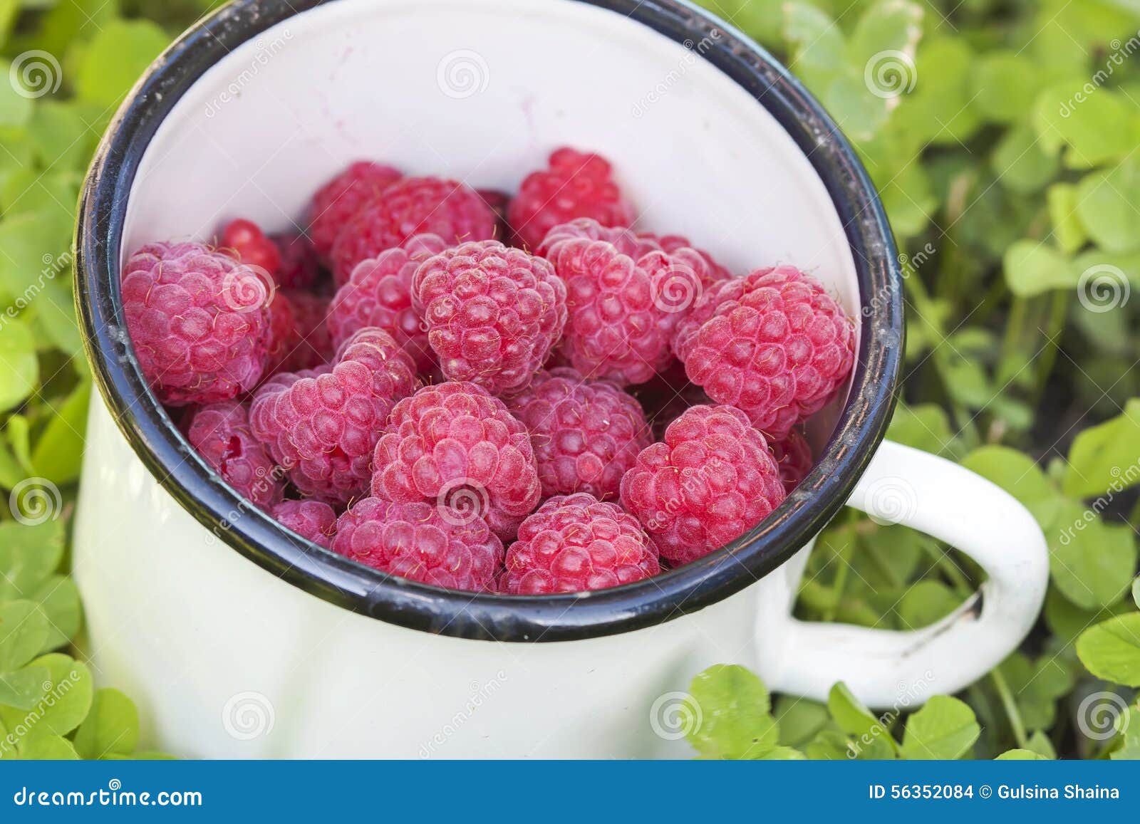 Fresh Raspberries in a Bowl Close-up on the Grass Stock Photo - Image ...