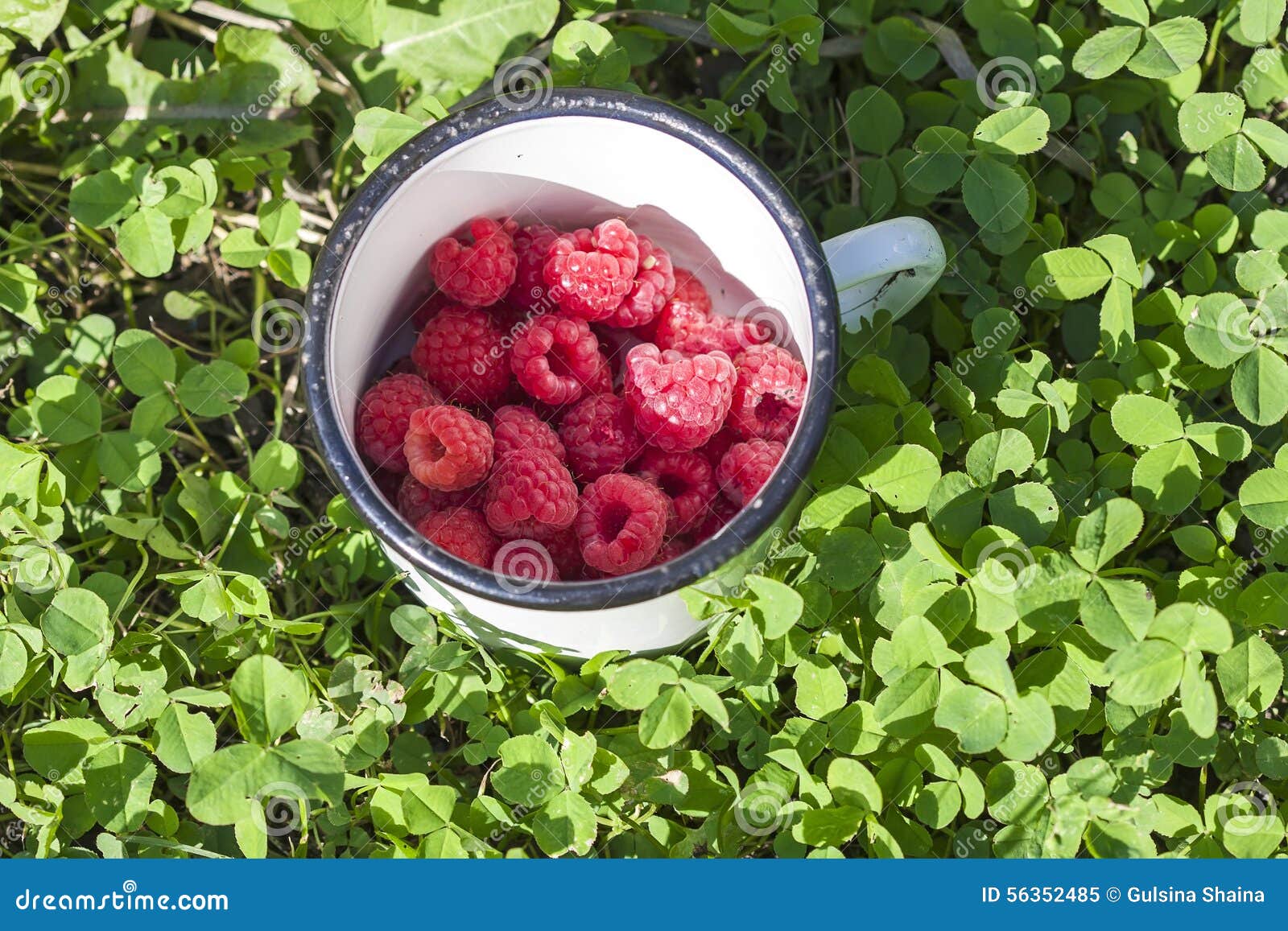 Fresh Raspberries in a Bowl Close-up on the Grass Stock Image - Image ...