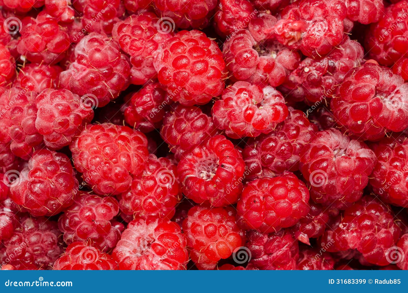 Fresh Raspberries stock image. Image of raspberries, closeup - 31683399