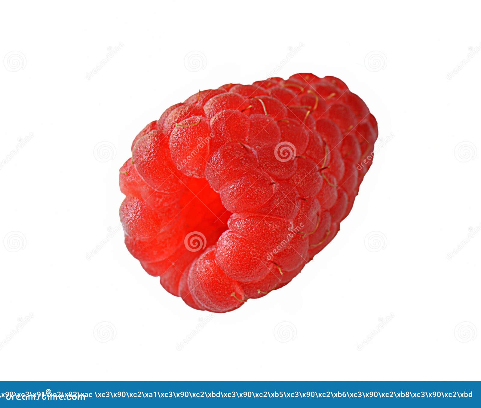 Fresh Raspberries Close-up on a White Background, Front View, Isolators ...