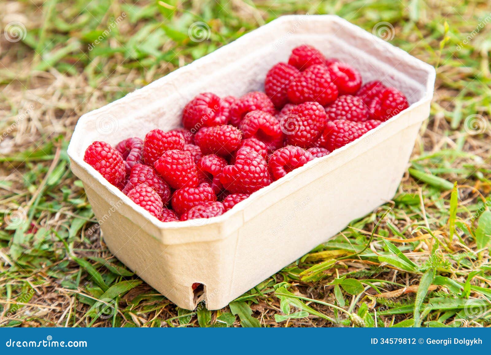 Fresh raspberries stock photo. Image of plant, sweet - 34579812