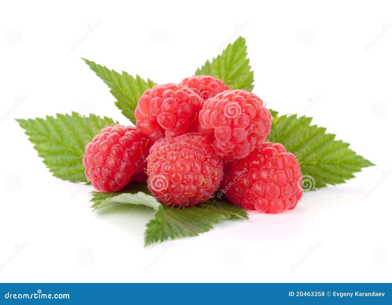Fresh Raspberries Heap on Leaves Stock Photo - Image of macro, organic ...