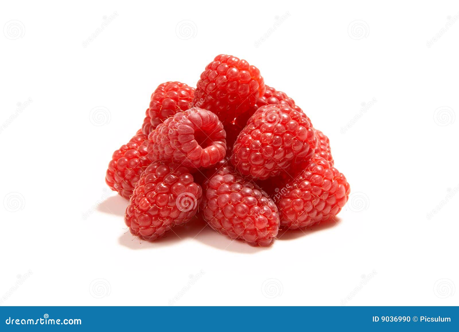 Fresh raspberries isolated stock photo. Image of juice - 9036990