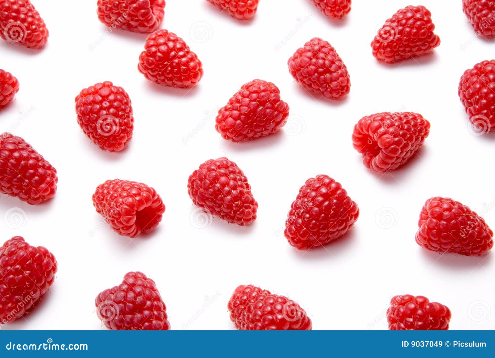 Fresh raspberries isolated stock image. Image of breakfast - 9037049
