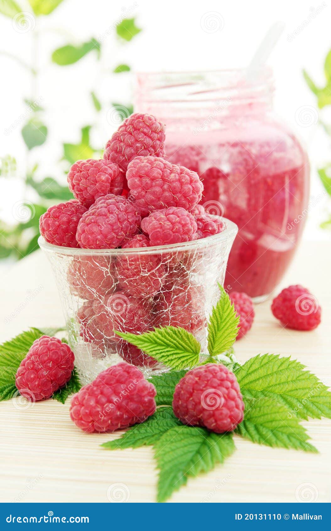 Fresh raspberries stock photo. Image of garden, container - 20131110