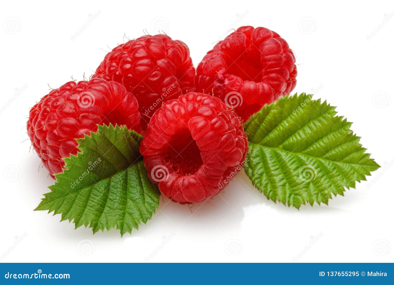 Fresh Raspberries with Leaves Stock Image - Image of raspberry, natural ...