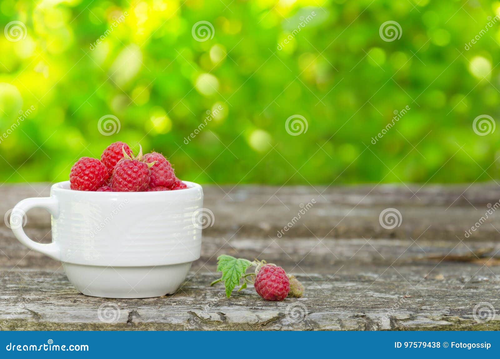 Fresh Raspberries in White Cup Stock Photo - Image of natural, fresh ...