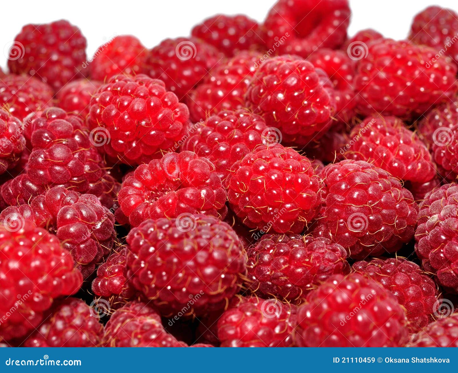 Fresh raspberry stock image. Image of organic, colorful - 21110459