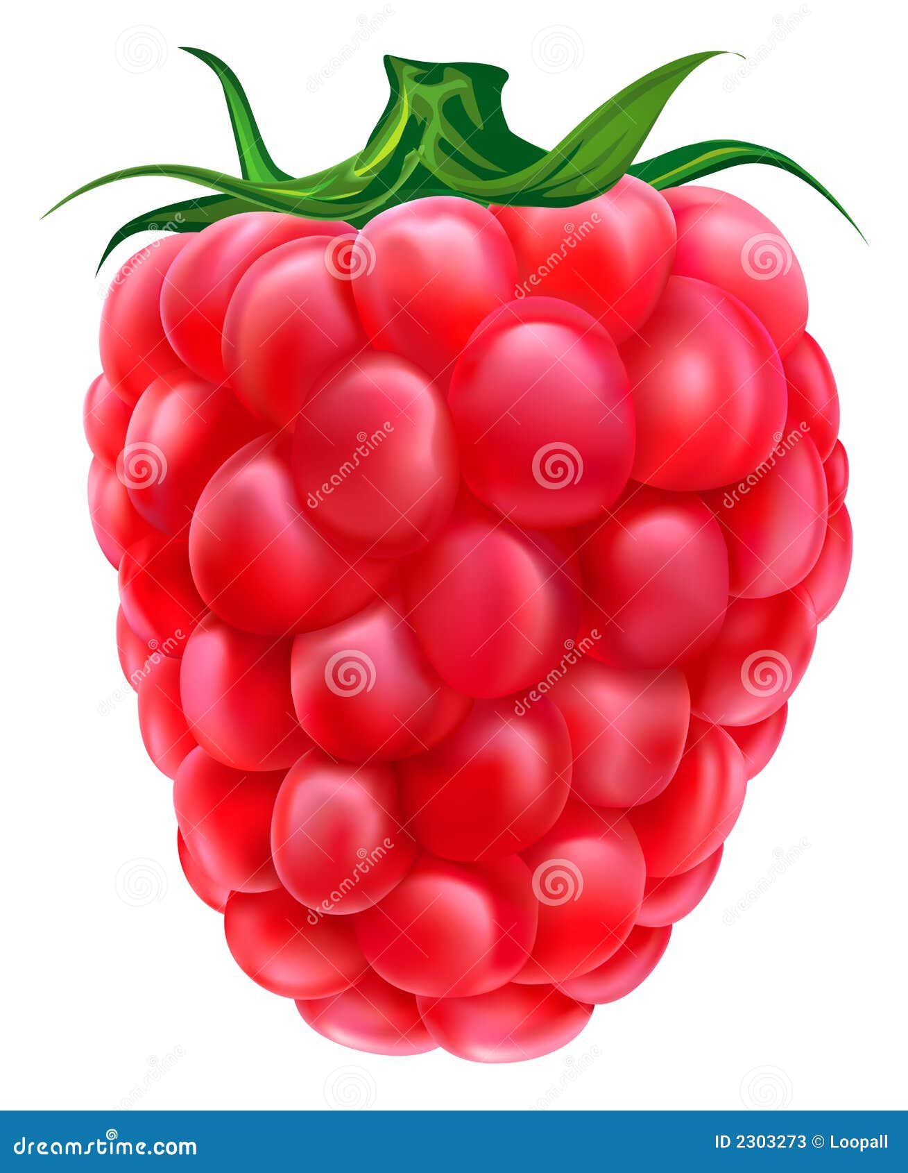 Fresh raspberry stock illustration. Illustration of fruit - 2303273