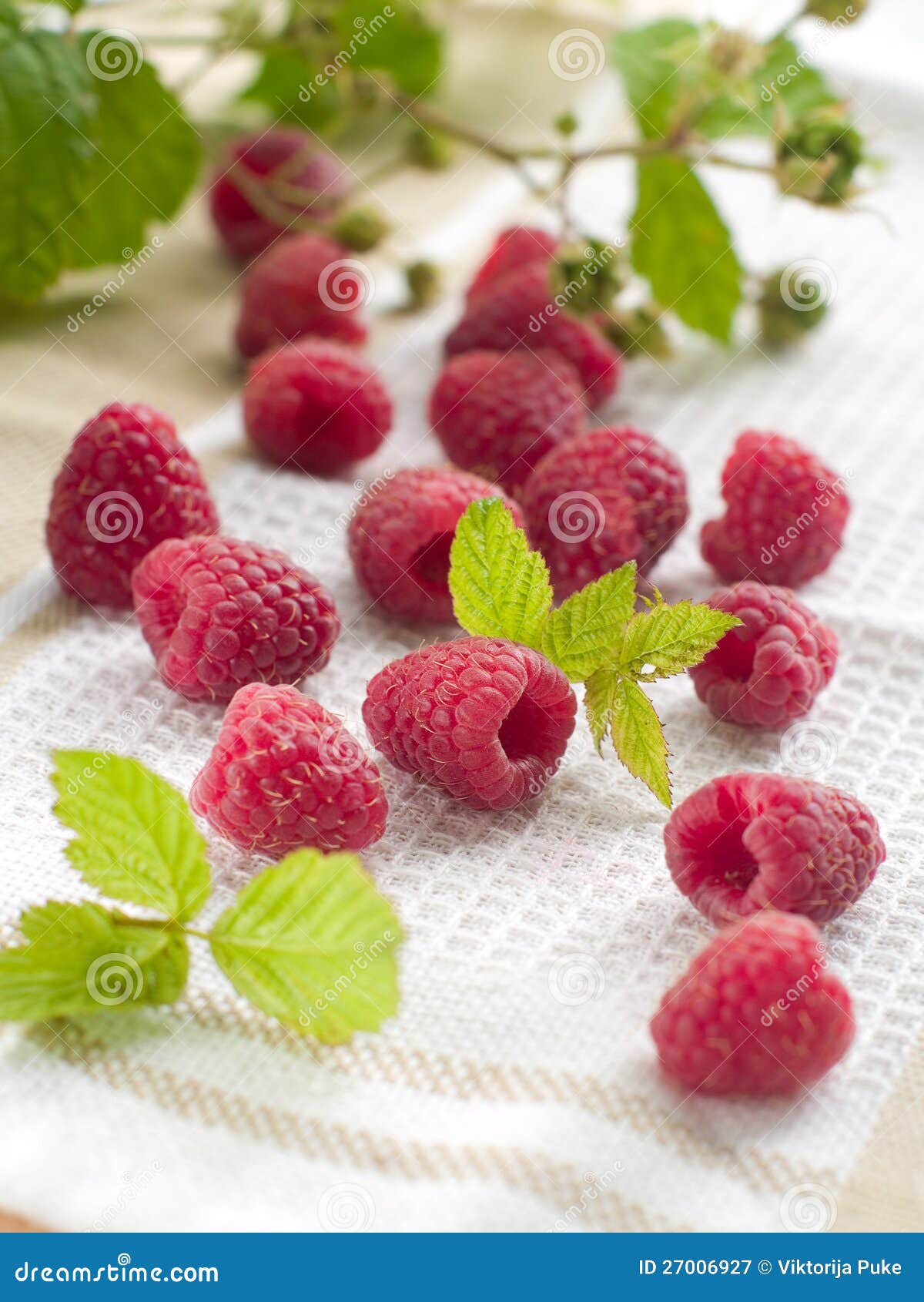 Berryl Photos - Free & Royalty-Free Stock Photos from Dreamstime