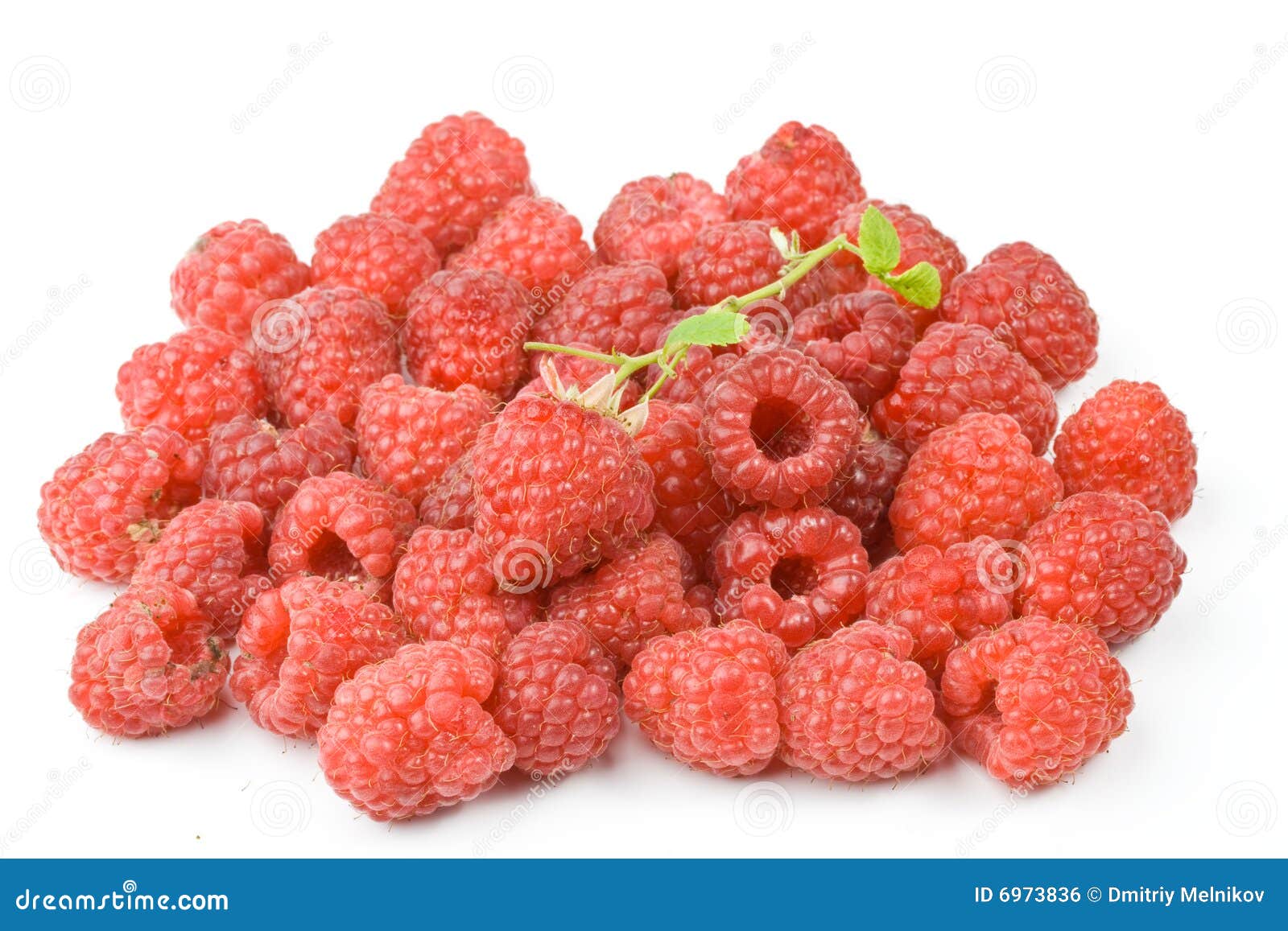 Fresh raspberry stock photo. Image of vitamins, healthy - 6973836