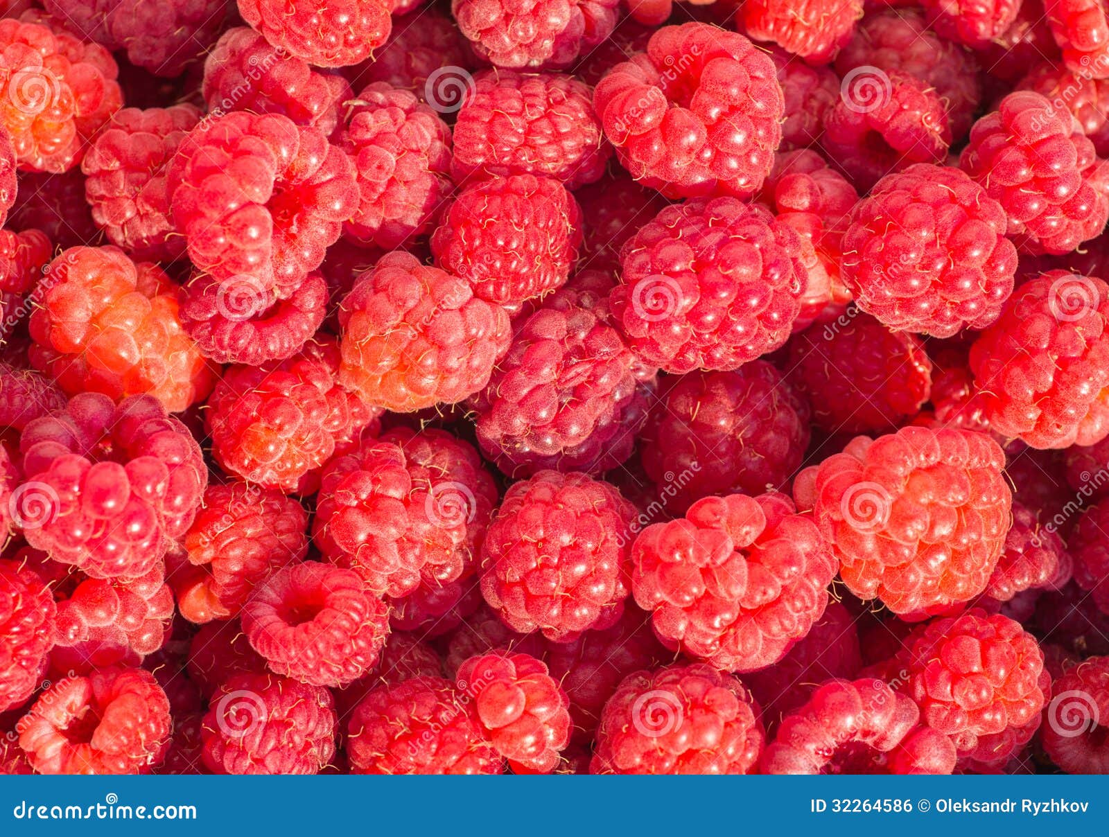 Fresh raspberry background stock photo. Image of berry - 32264586