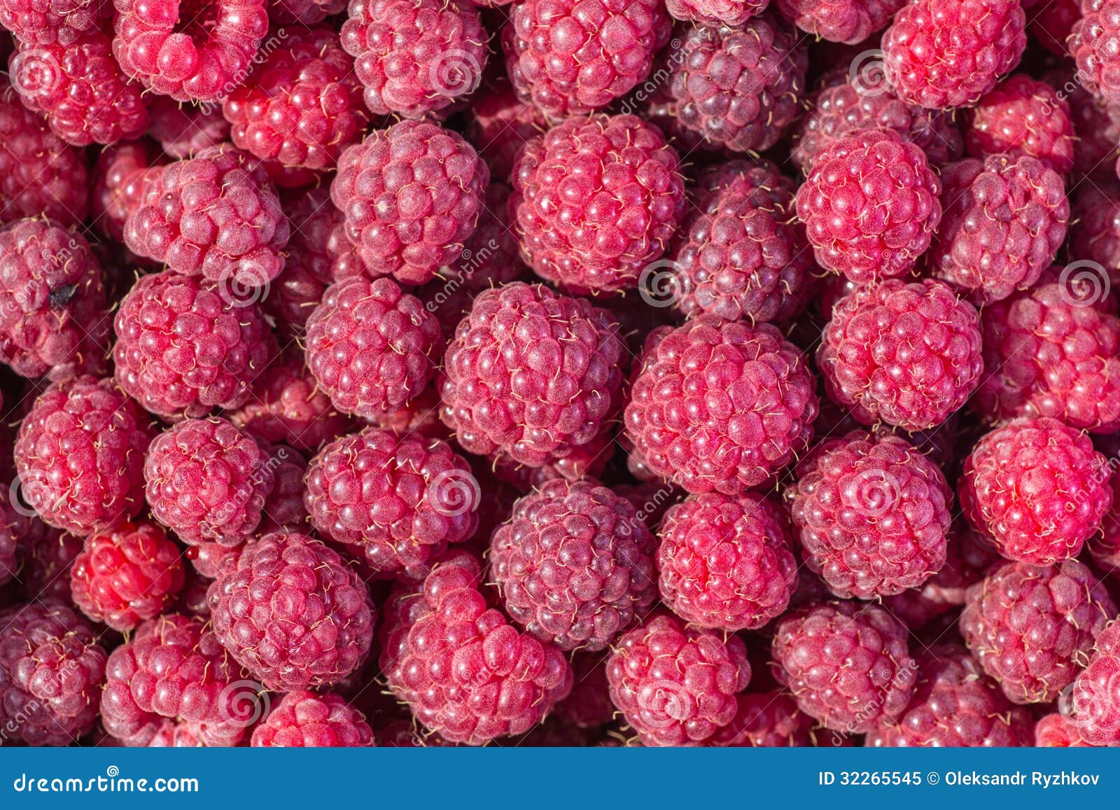 Fresh raspberry background stock image. Image of pink - 32265545