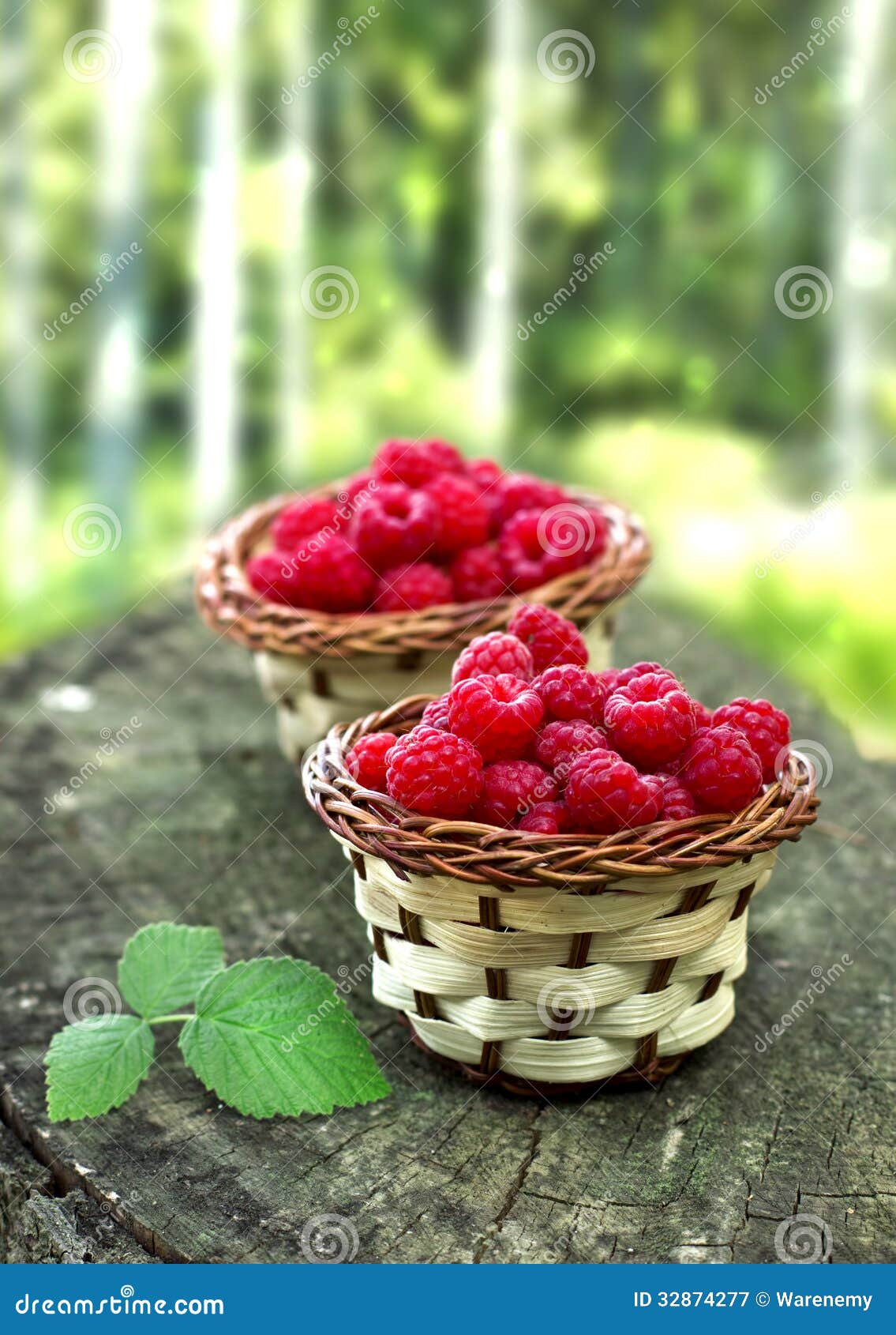 Fresh raspberry stock image. Image of basket, raspberry - 32874277