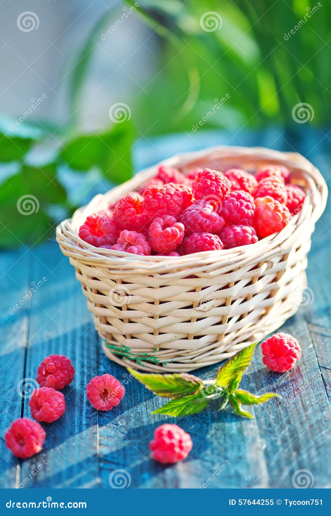 Fresh raspberry stock image. Image of healthy, gardening - 57644255