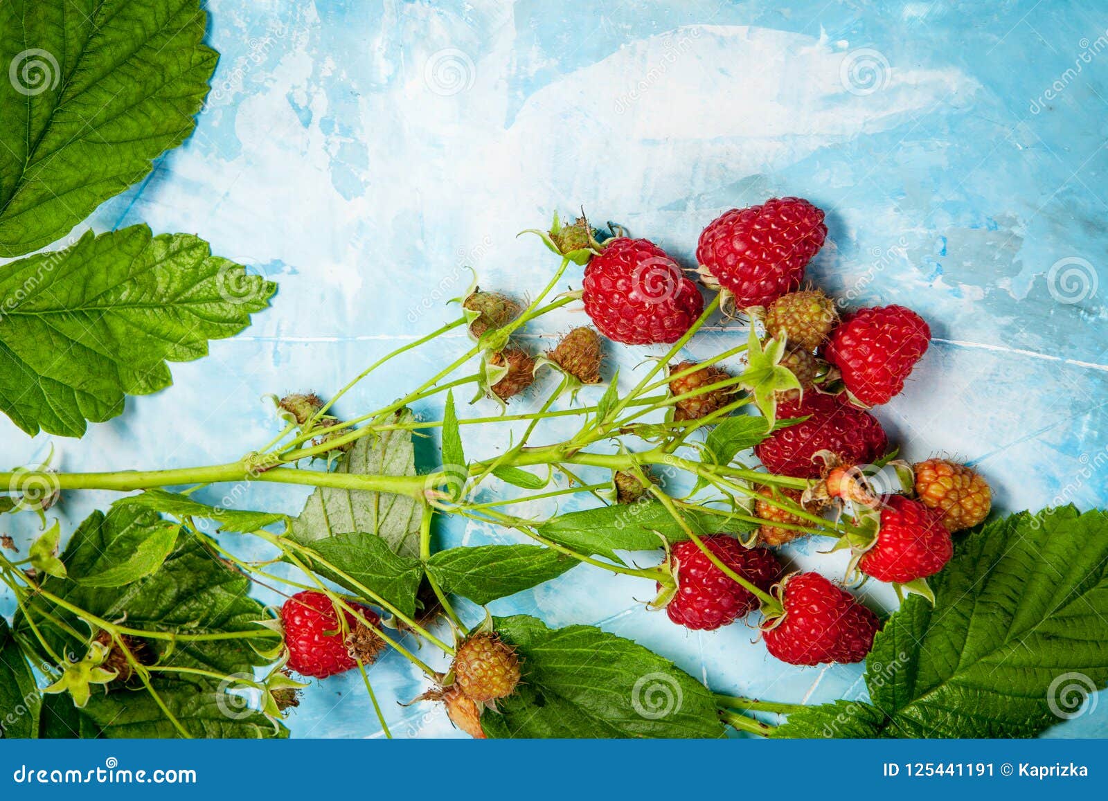 Fresh Raspberry Border with Leaves on Art Background Stock Image ...