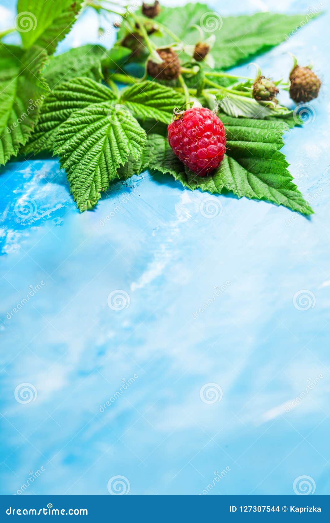 Fresh Raspberry Border with Leaves on Art Background Stock Photo ...