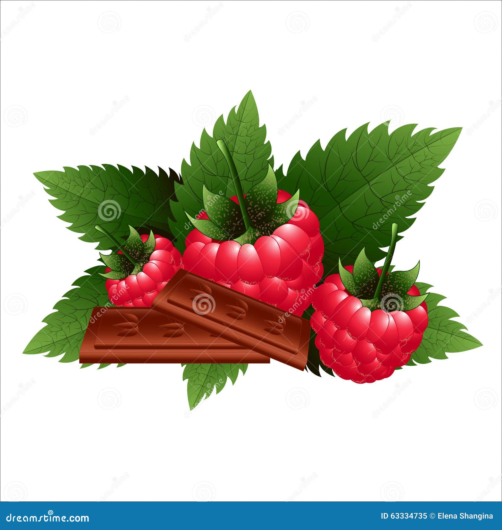 Fresh Raspberry with Chocolate and Mint. Stock Vector - Illustration of ...