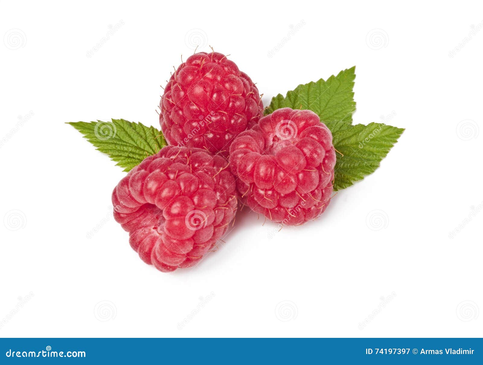 Fresh raspberry stock image. Image of gourmet, magnification - 74197397