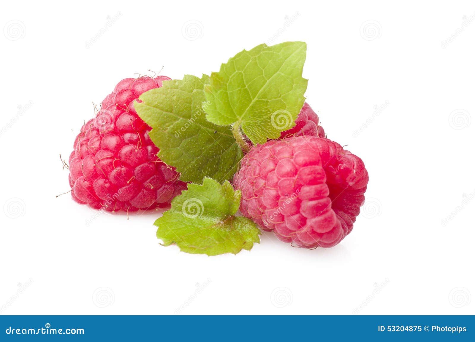 Fresh Raspberry stock image. Image of dessert, healthy - 53204875