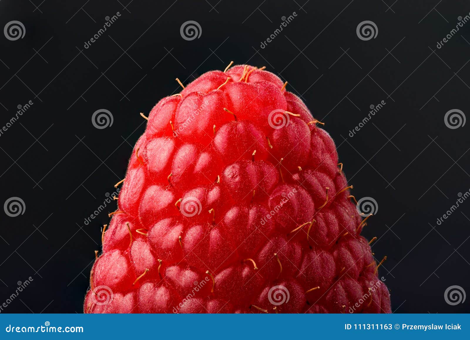 Fresh raspberry closeup stock image. Image of healthy - 111311163
