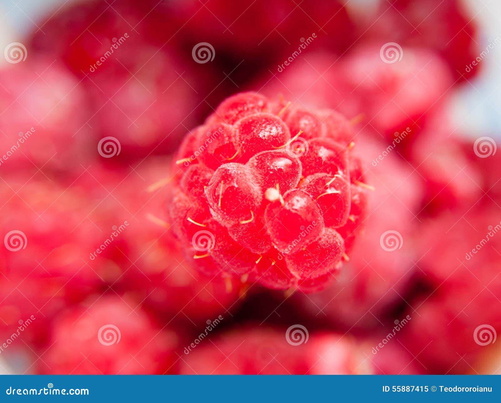 Fresh raspberry detail stock image. Image of berry, bowl - 55887415