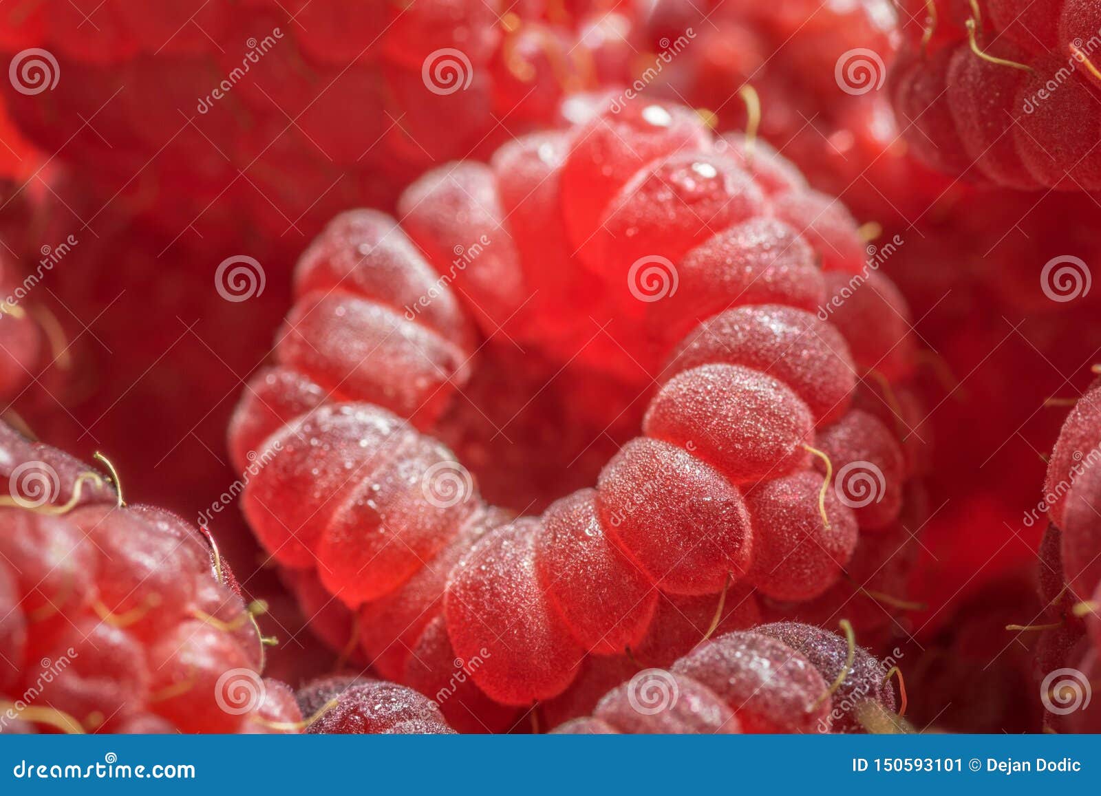 Raspberry macro background stock image. Image of domestic - 150593101