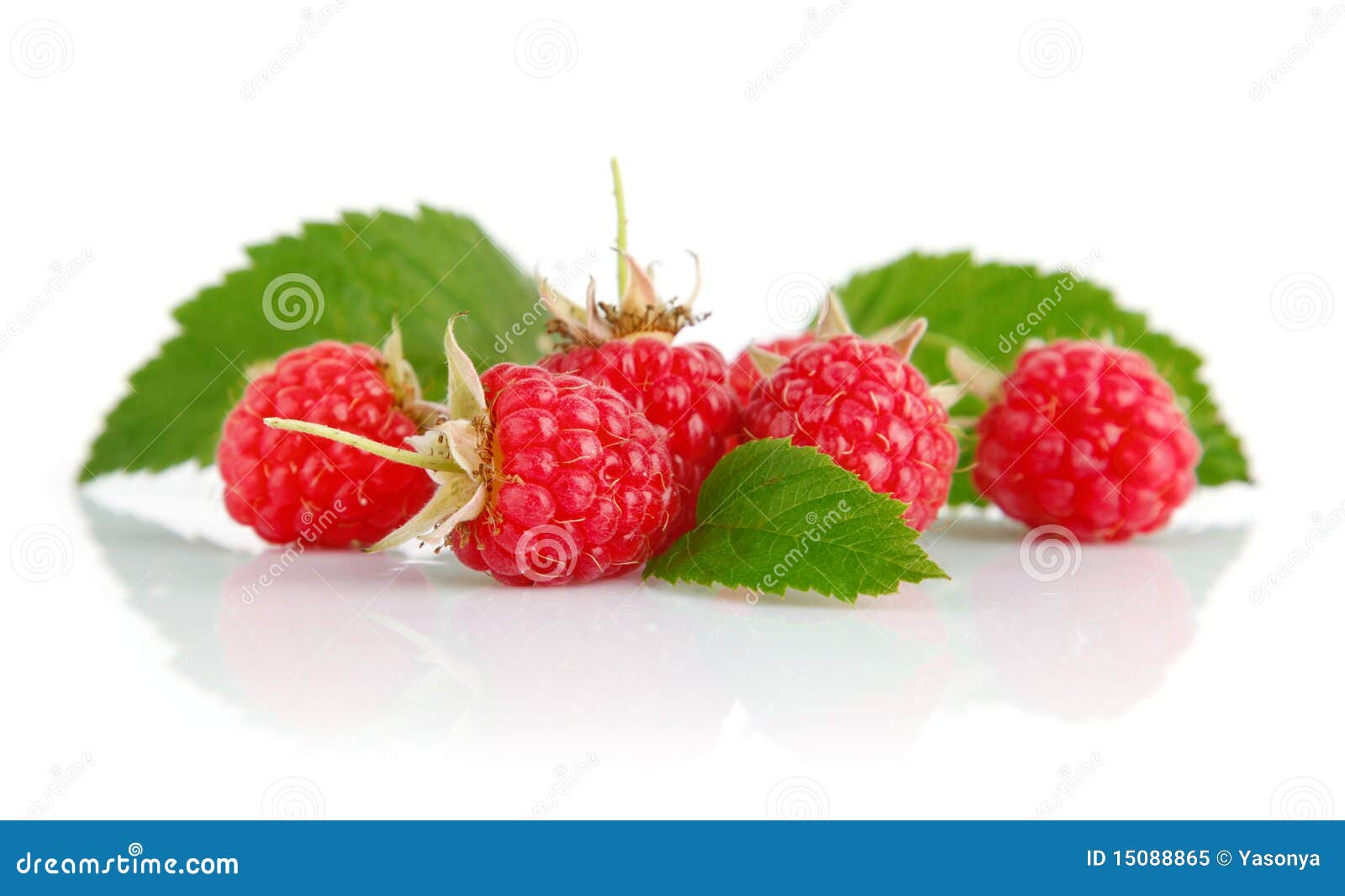 Fresh Raspberry Fruits with Green Leaves Stock Image - Image of forest ...