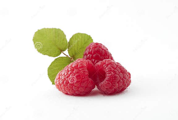 Fresh Raspberry on a White Background Stock Image - Image of berries ...