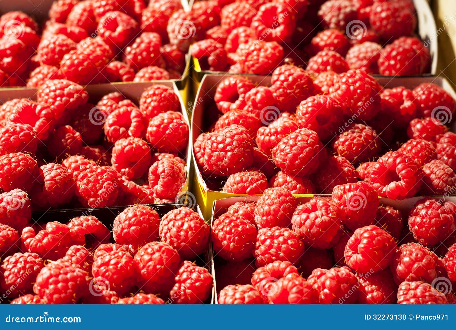 Fresh raspberry stock photo. Image of sweet, healthy - 32273130