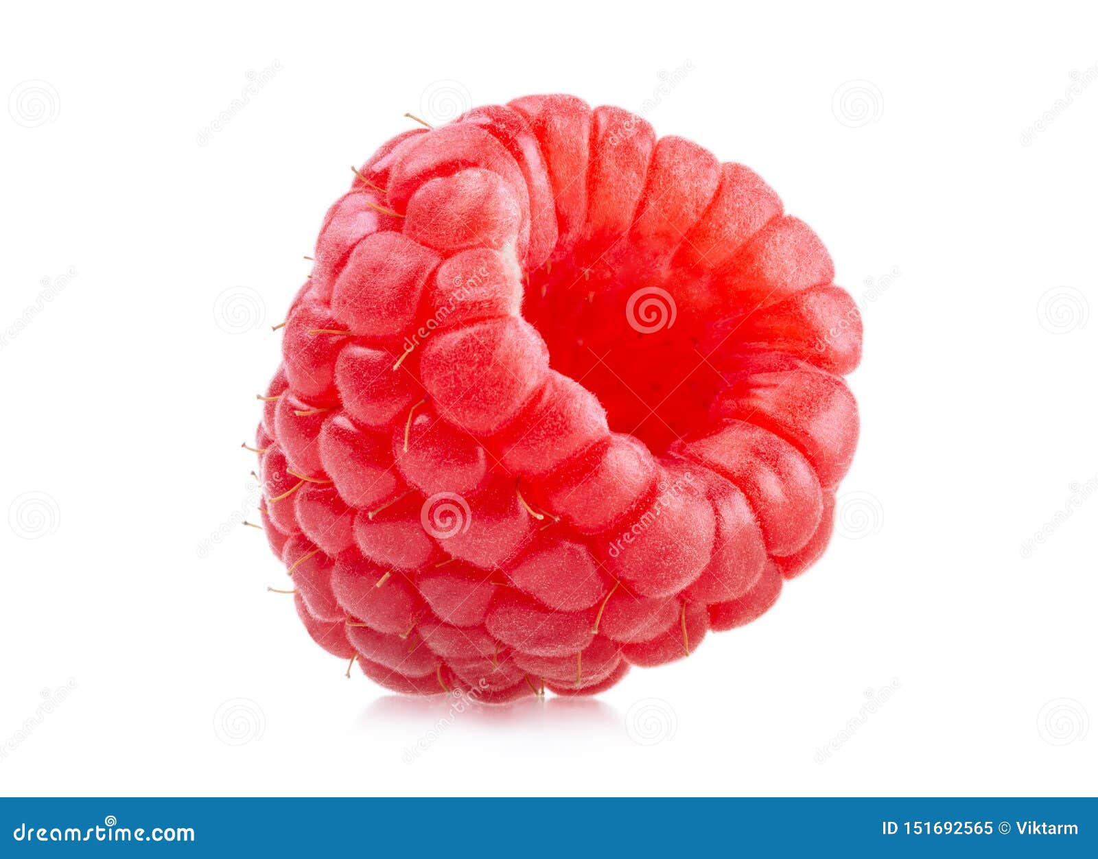 Fresh raspberry stock image. Image of isolated, ripe - 151692565