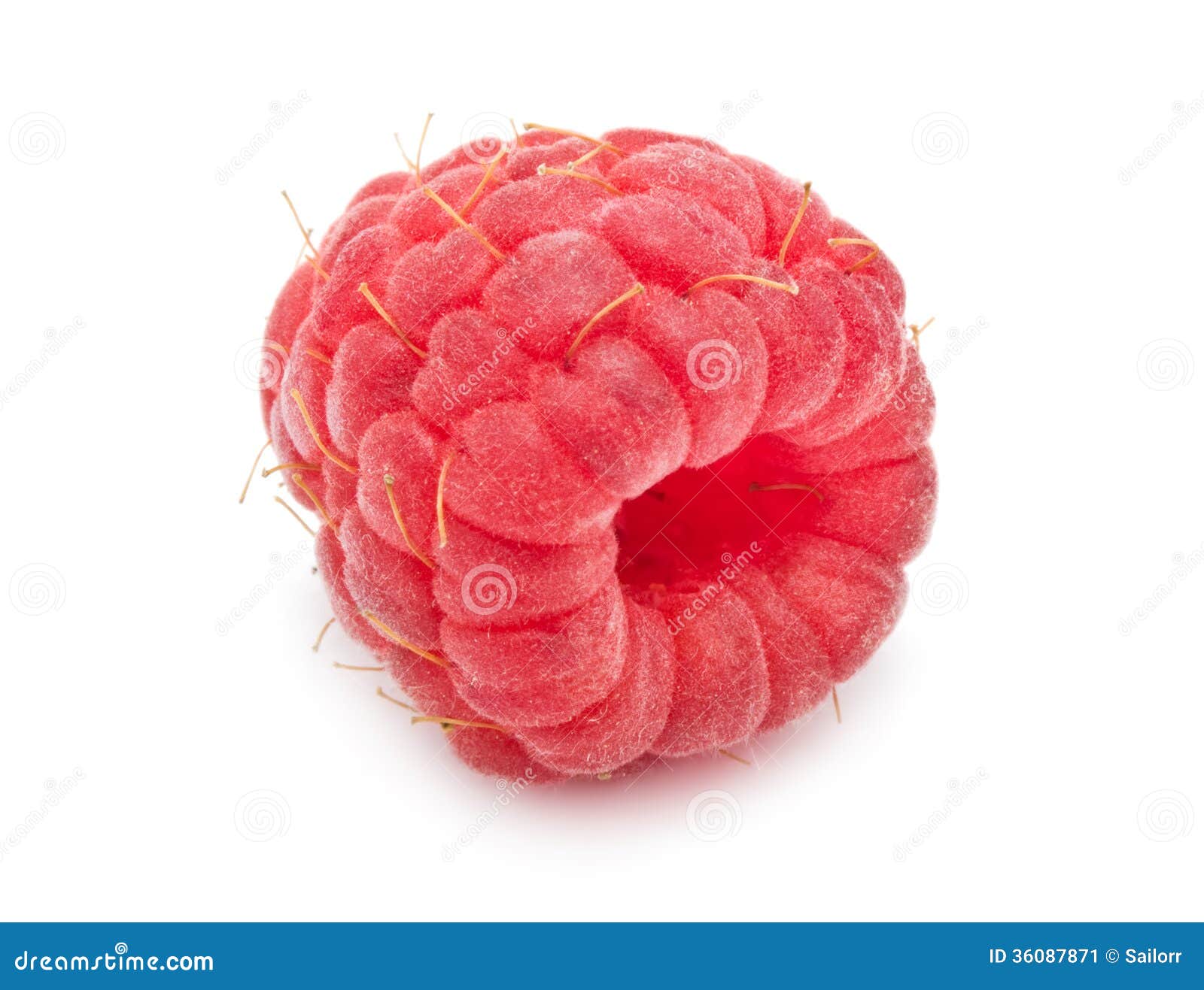 Fresh raspberry stock image. Image of white, sweet, diet - 36087871