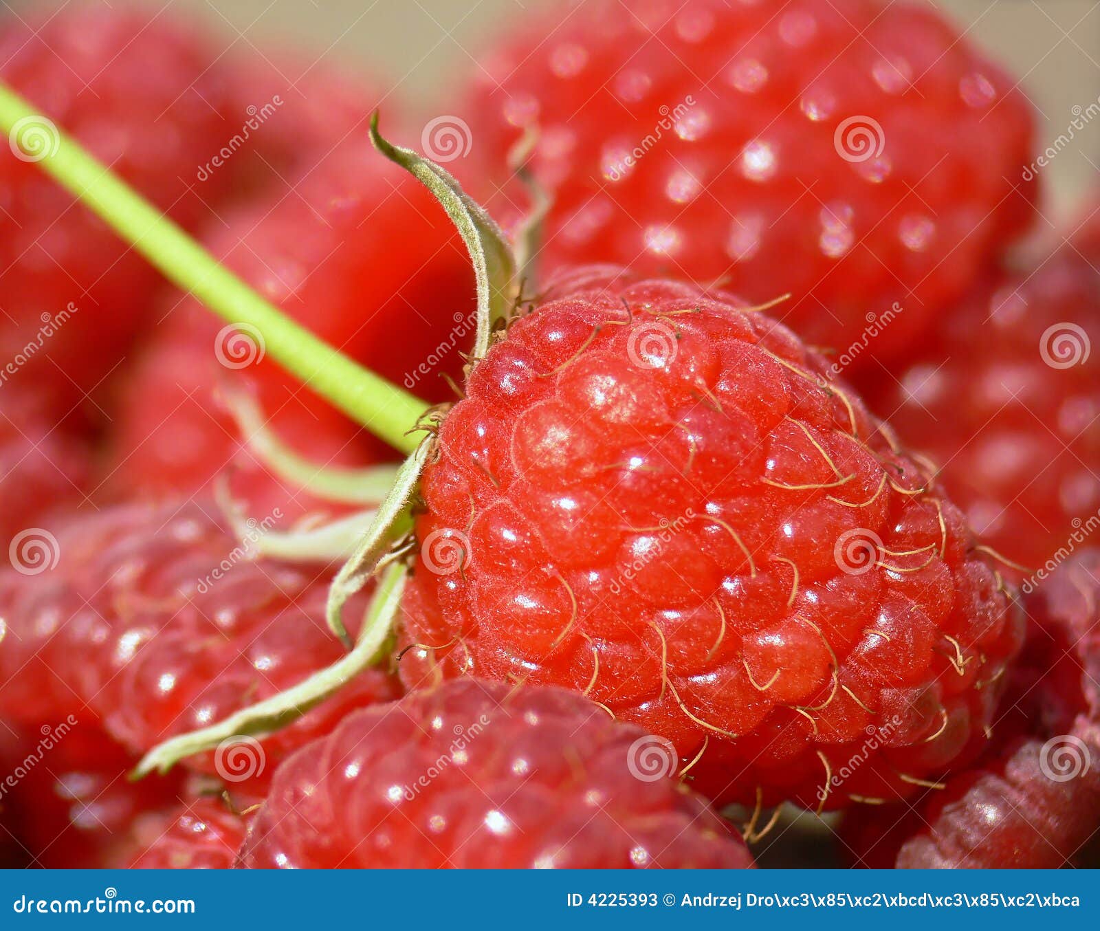 Fresh raspberry s stock image. Image of summer, healthy - 4225393