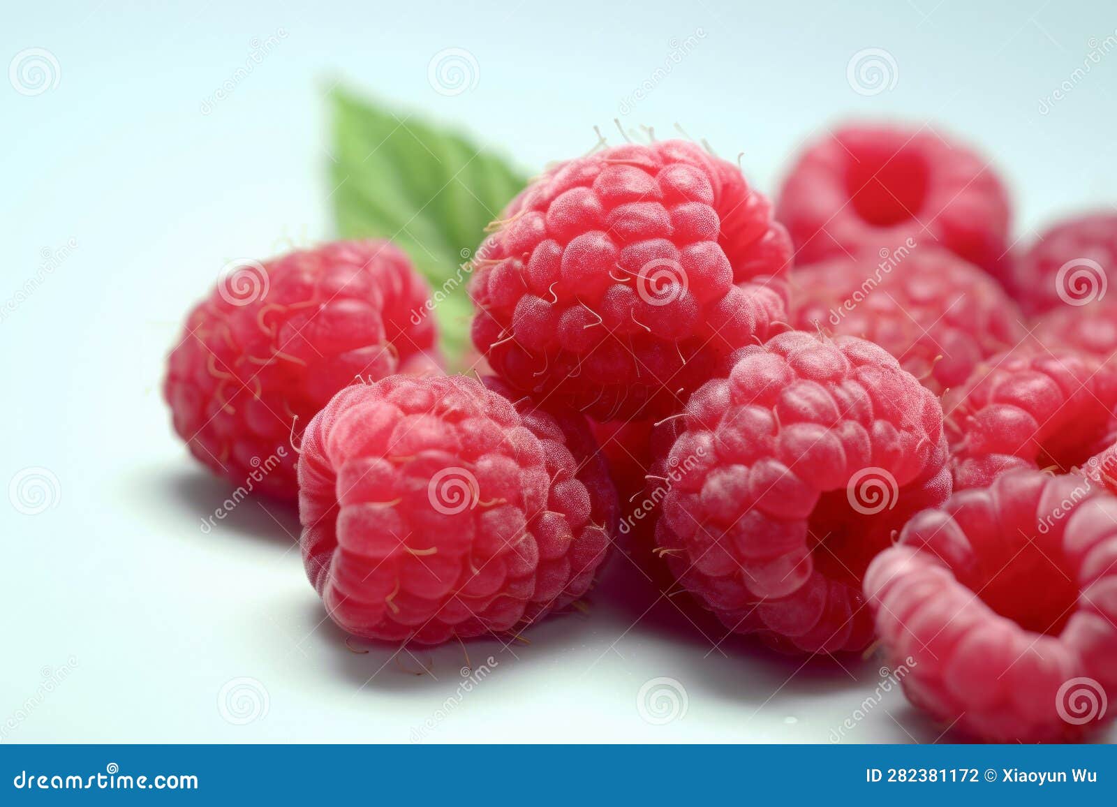 Fresh Raspberry Solid Color Background Image Stock Illustration ...